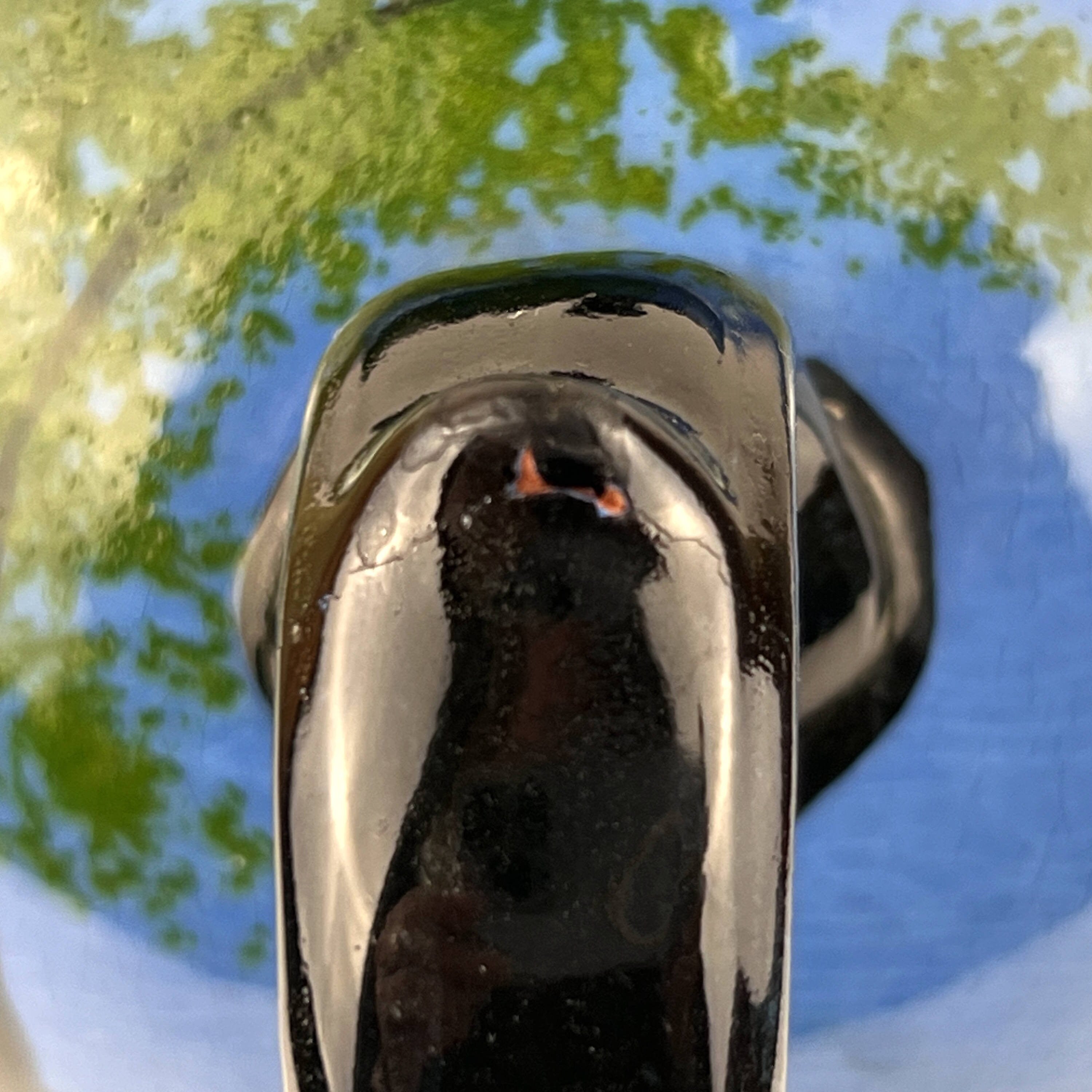 Vintage 1920s Daison Pottery Torquay Kingfisher Teapot 40 oz Capacity