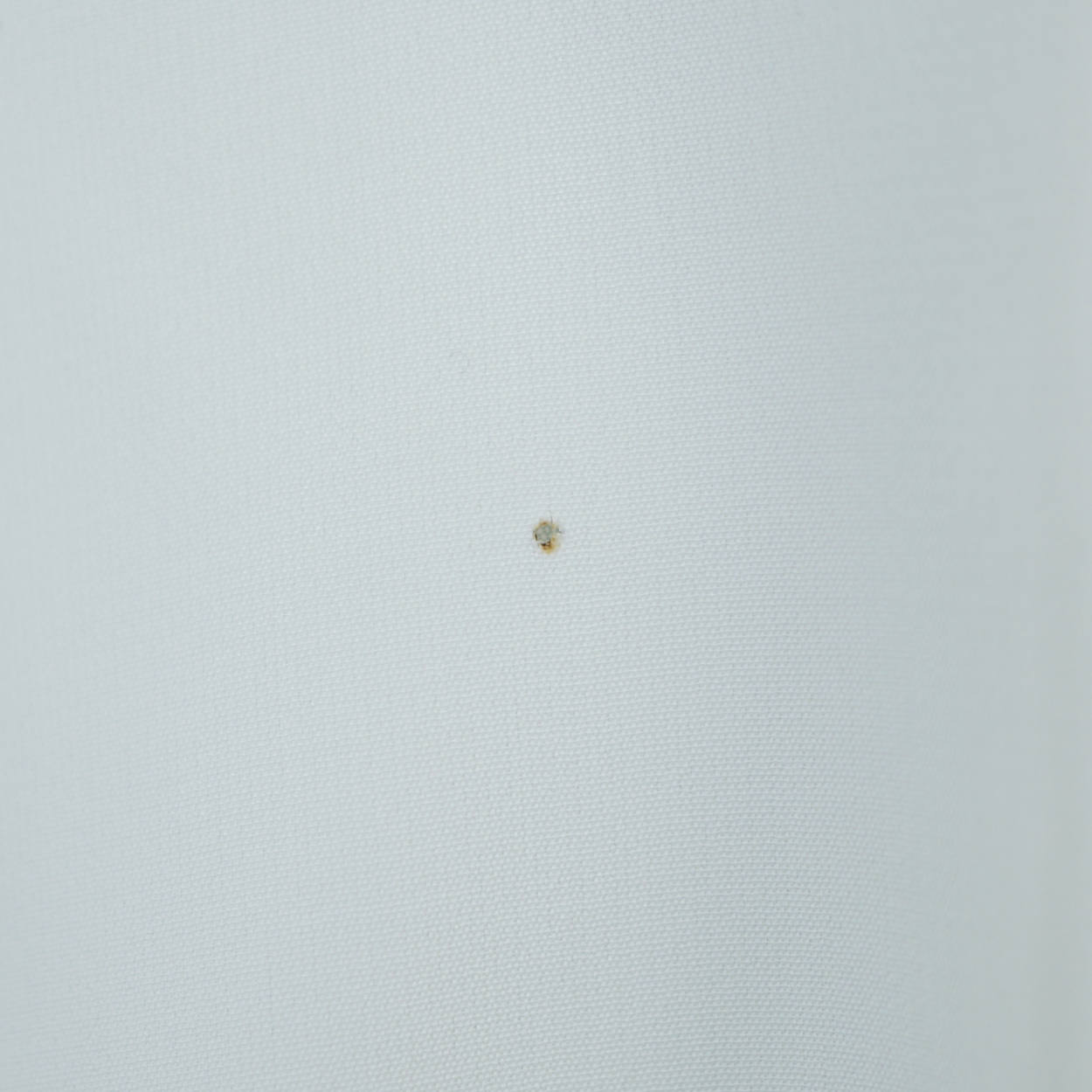 Vintage 40s 50s Mens White Scarf Crepe Opera Foulard